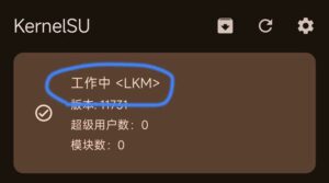 谷歌 Pixel 安装 KernelSU 教程（修补 boot.img）-KernelSU中文网